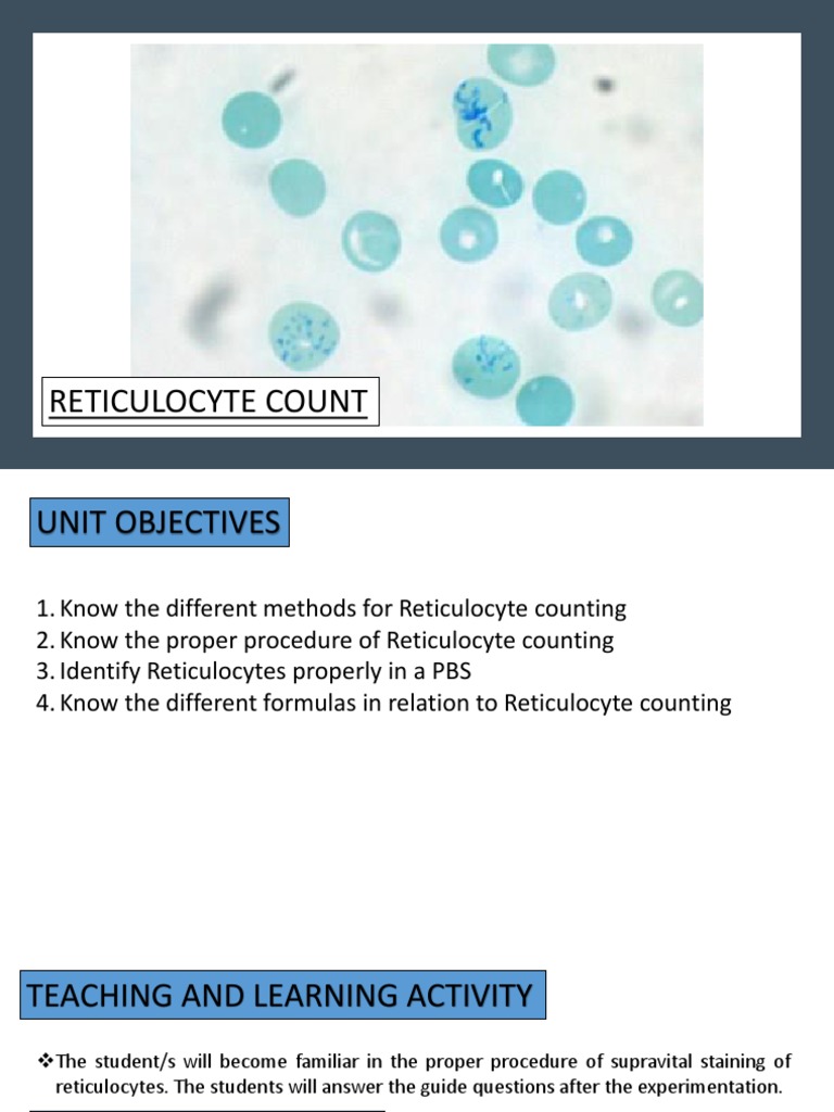 Hem311 Week 13 Lab - Reticulocyte Count | PDF | Red Blood Cell | Anemia
