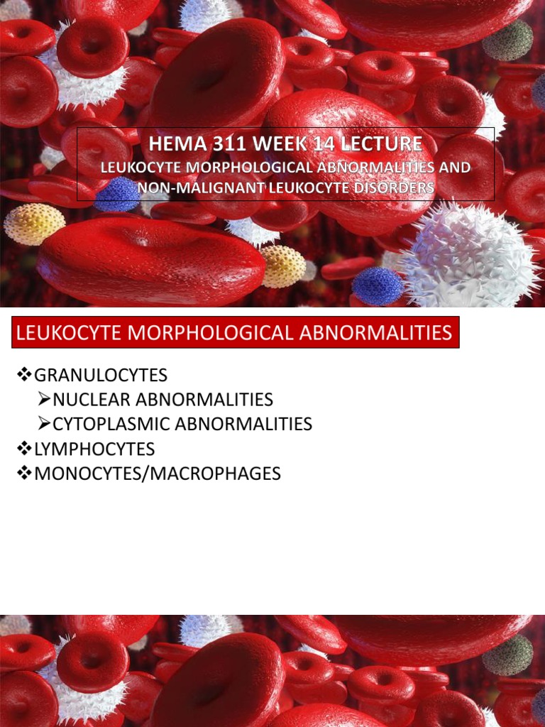 Week 14 Leukocyte Abnormalities And Non Malignant Leukocyte Disorders