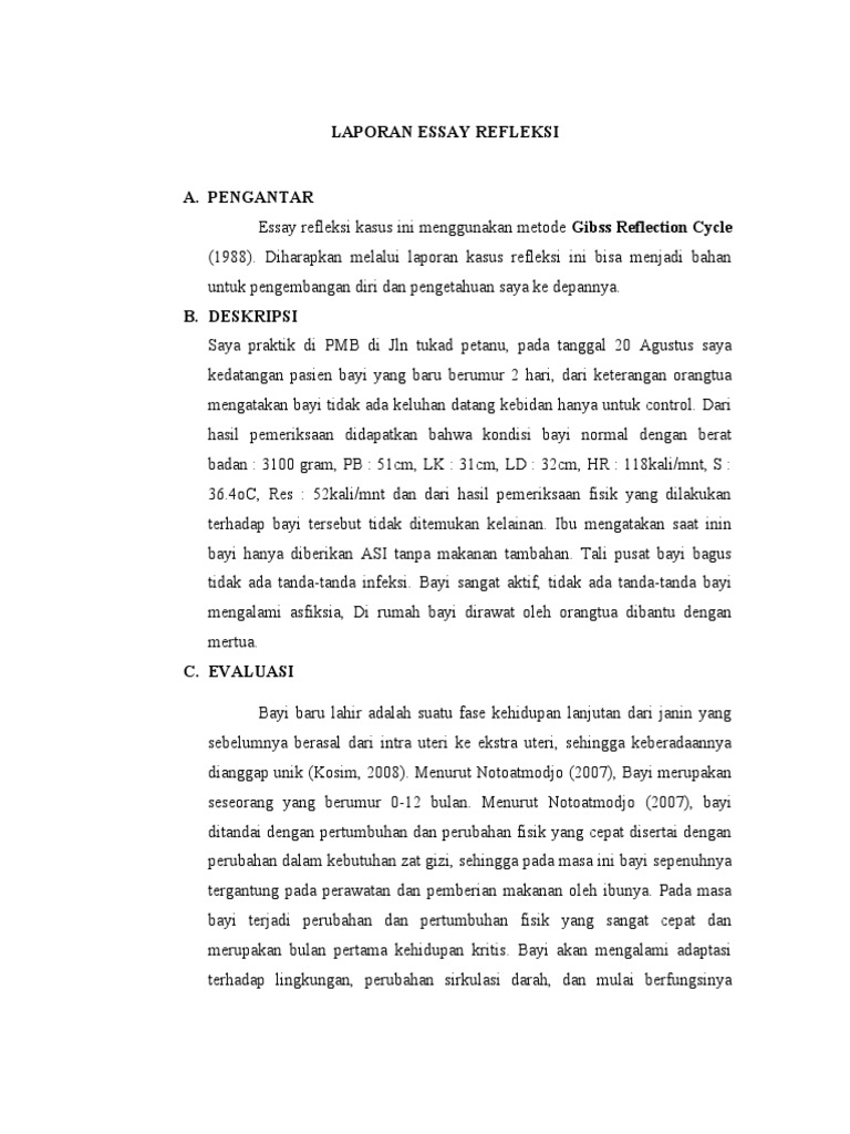 Laporan Essay Refleksi BBL | PDF