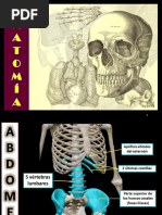 Anatomía Sacro-Coxígea en Radiología | PDF | Vértebra | Anatomía humana