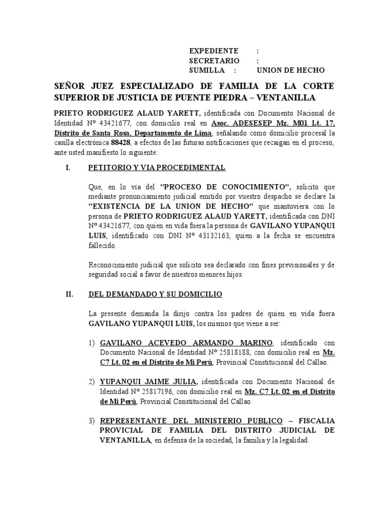 Modelo Demanda Unión de Hecho | PDF