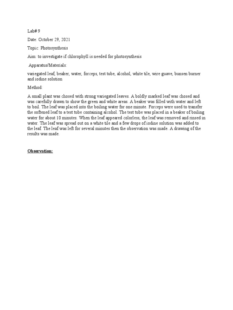 Photosynthesis Lab - Chlorophyll Lab 6 | PDF | Photosynthesis | Leaf