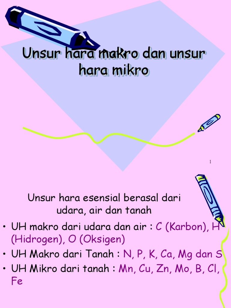 Unsur Hara Mikro Dan Makro | PDF