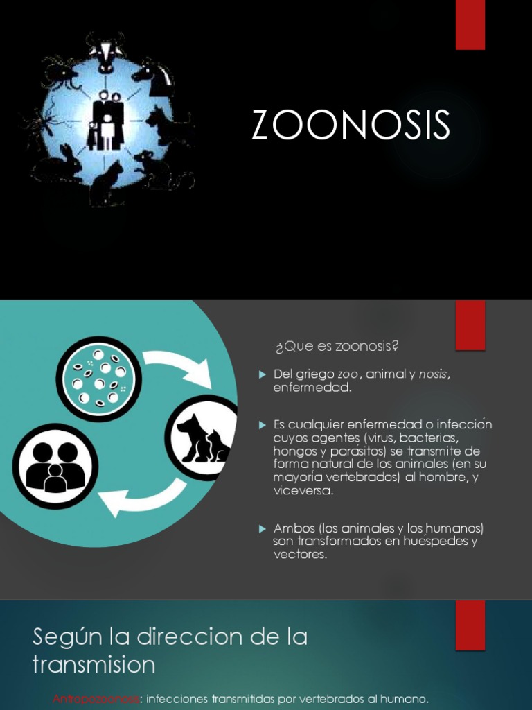 Zoonosis | PDF | Infección | Virus