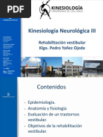 Protocolo Hints | PDF | Neuroimagen | Vértigo