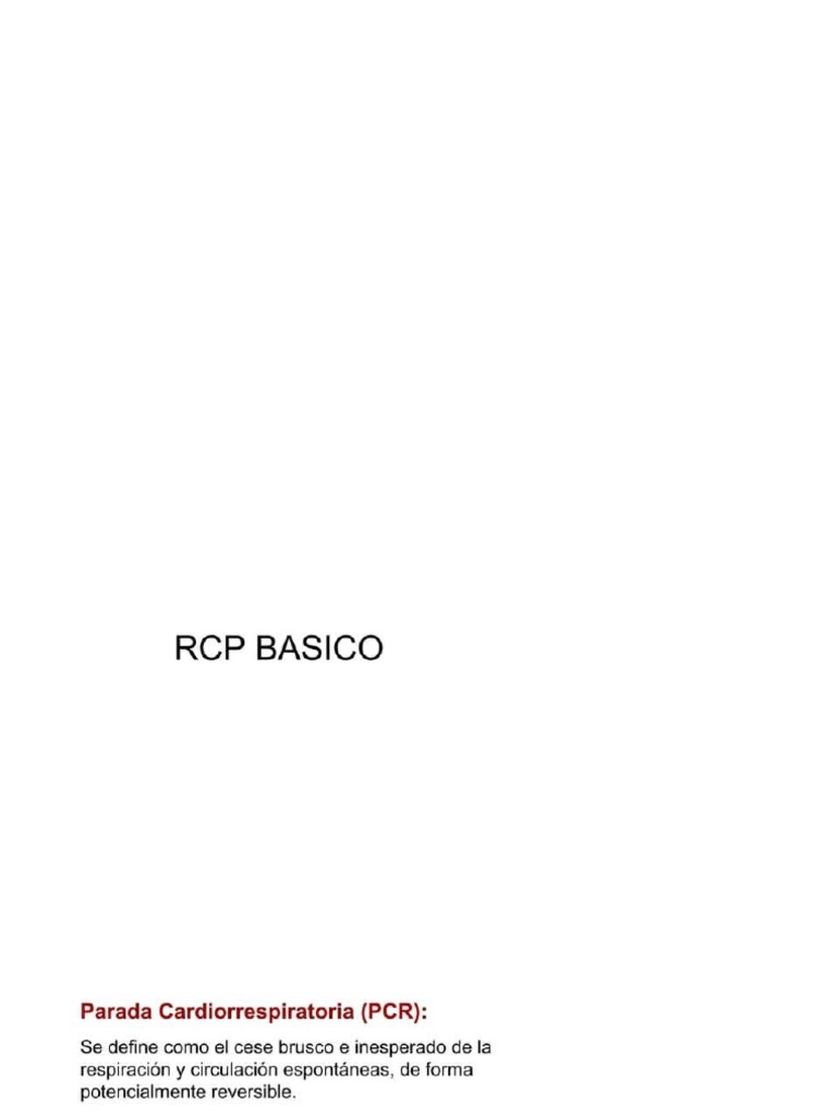 El RPC | PDF