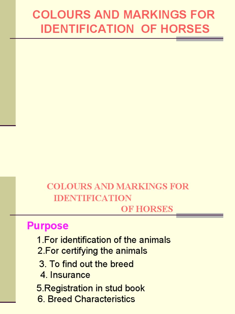 Horse Colors and Markings Guide | PDF | Equus (Genus) | Horses