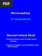 Functional Assessment Checklist For Prog | PDF | Intellectual ...