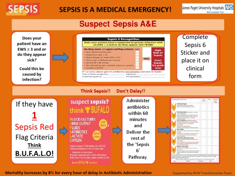 Sepsis Ae Easy Guide | PDF
