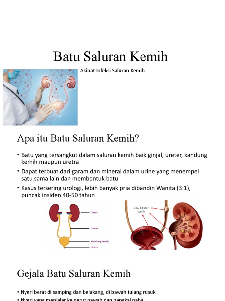Batu Saluran Kemih Akibat ISK | PDF