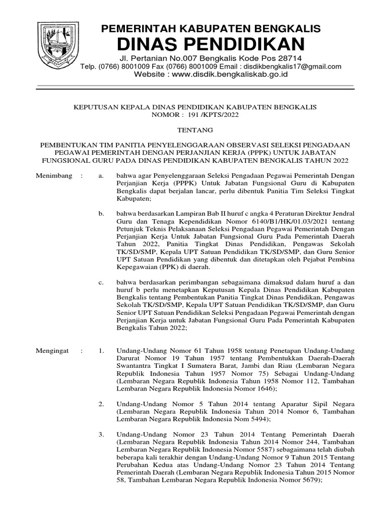 SK Tim Observasi Seleksi PPPK 2022 | PDF