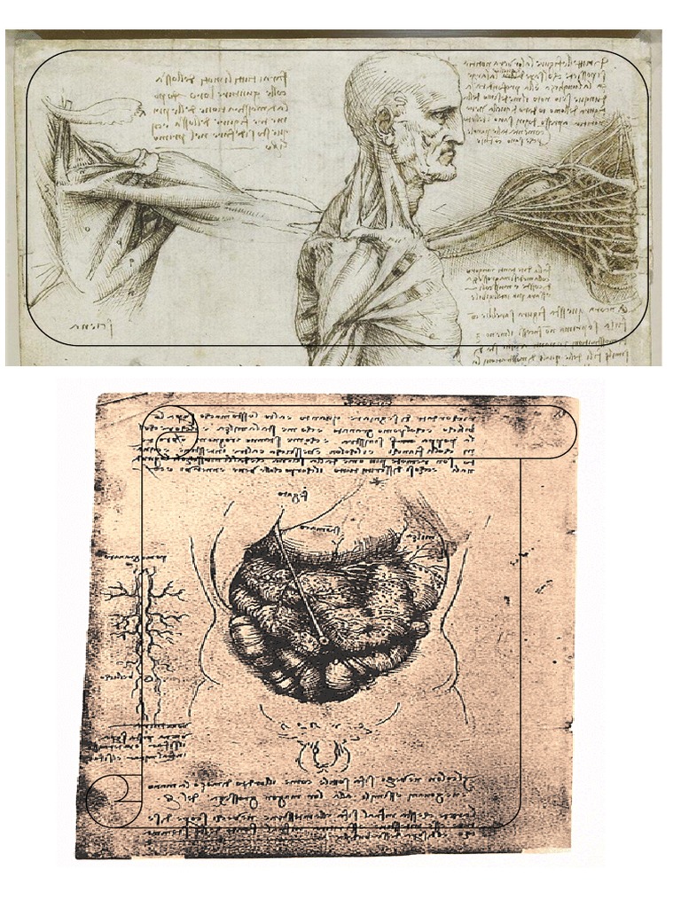 Da Vinci Pdf