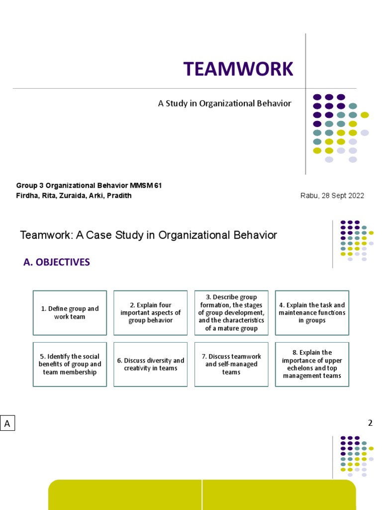 Organizational Team Dynamics | PDF | Leadership | Organizational Behavior
