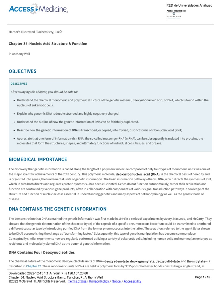 Chapter 34 - Nucleic Acid Structure & Amp Function | PDF | Ribosomal ...