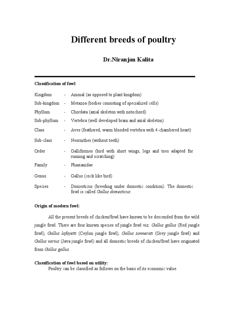 LPM (Poultry Breeds) | PDF | Chicken | Birds