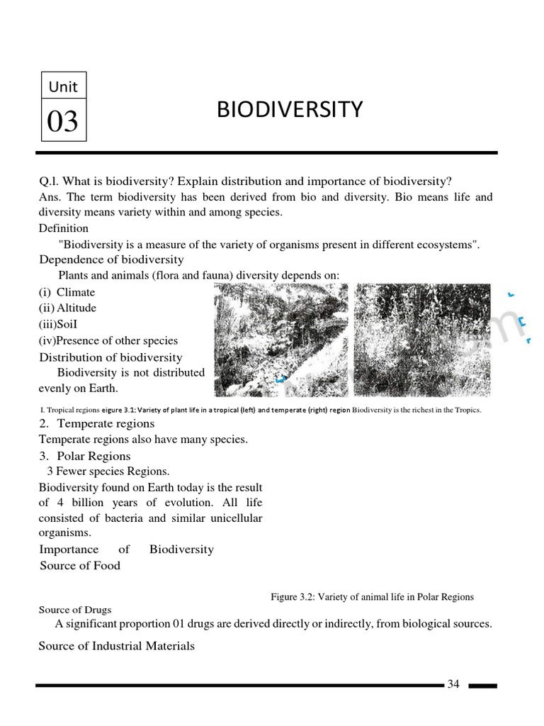 Chapter 3 9th Class Biodiversity | PDF | Biodiversity | Taxonomy (Biology)