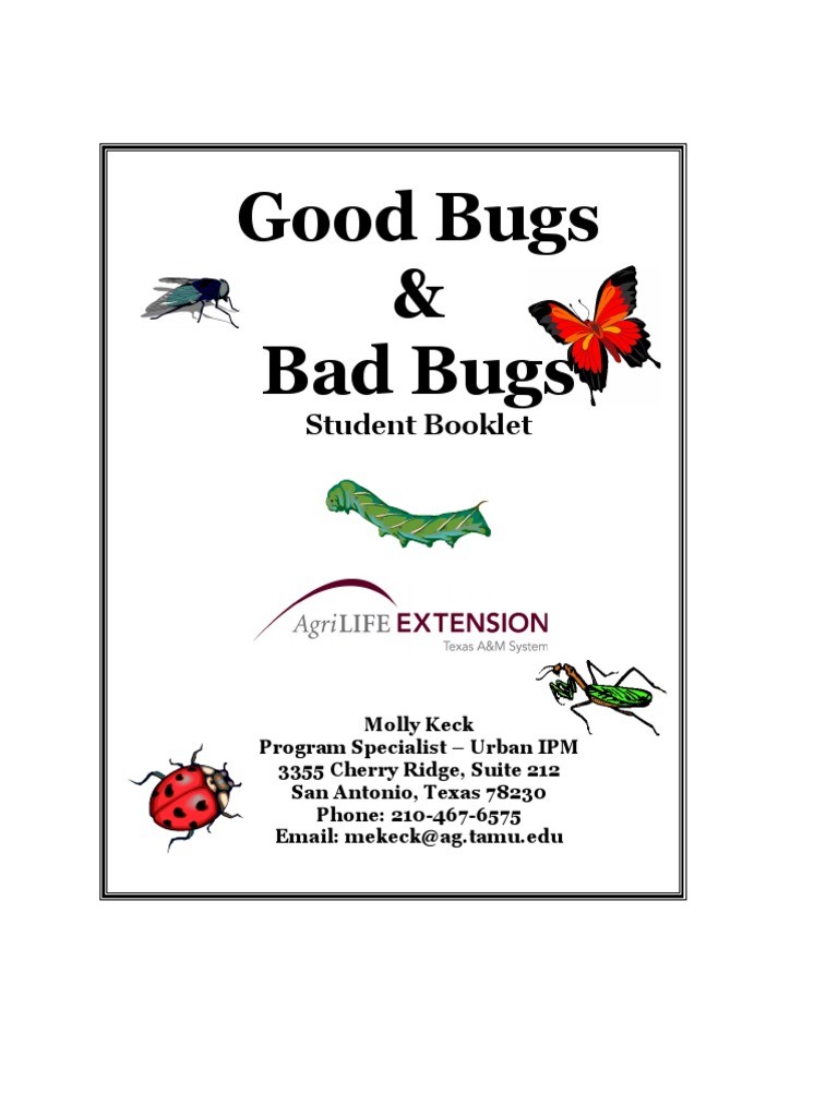 Good Bugs | PDF | Pupa | Insects