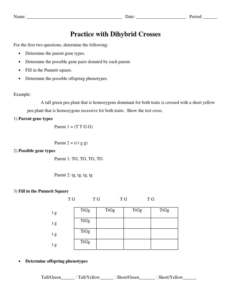 Dihybrid Cross Practice | PDF | Dominance (Genetics) | Zygosity