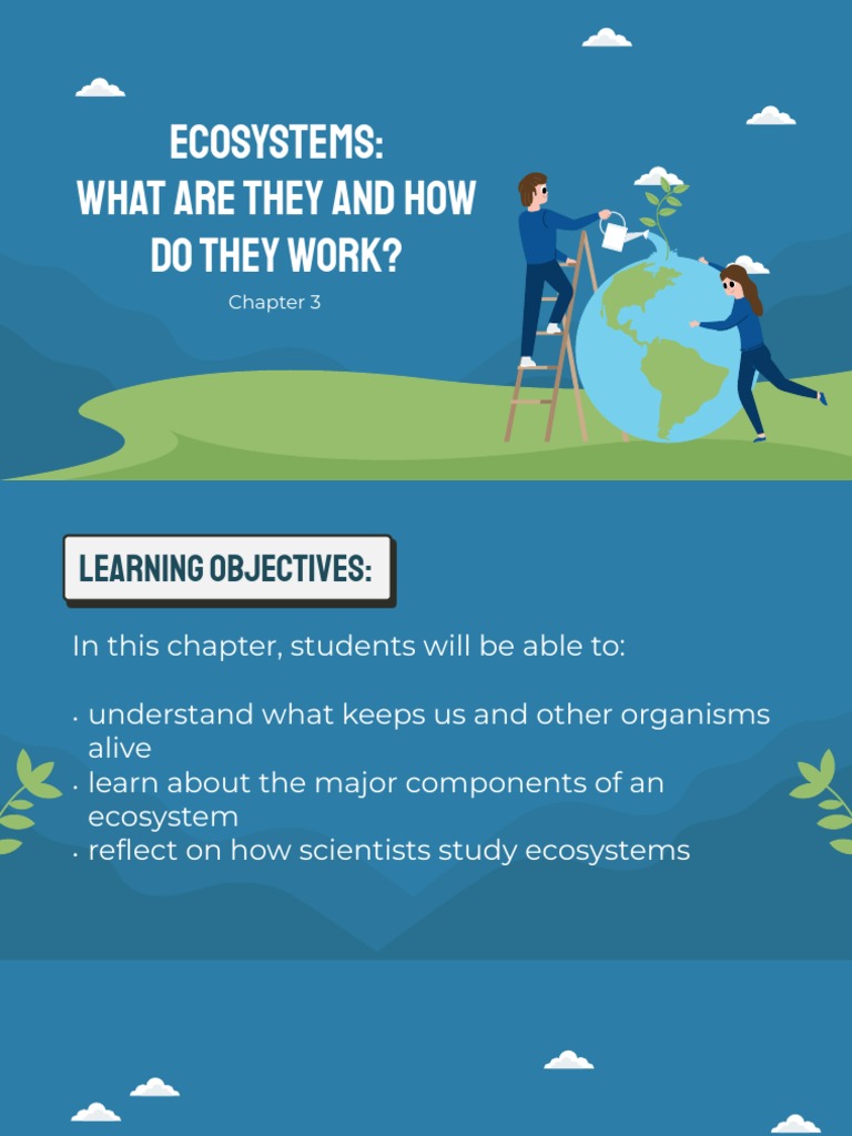 Chapter 3 - Ecosystems | PDF | Ecosystem | Food Web