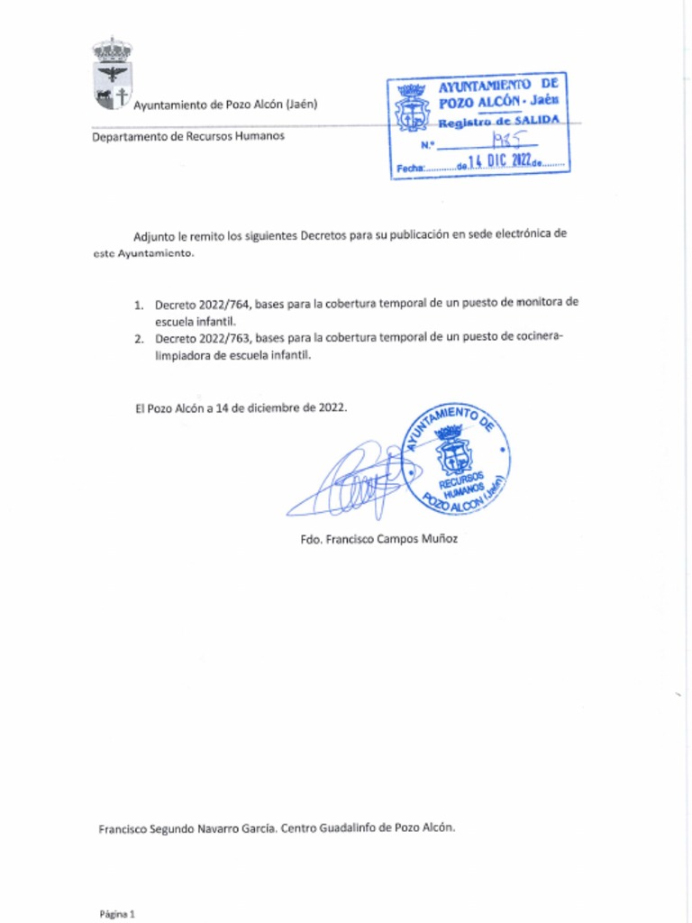 Oficio Remisión | PDF