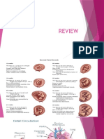 Premonitory Stage of Labour | PDF | Placenta | Childbirth