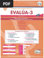 Cuadernillo Evalua 8 Version 4.0 | PDF
