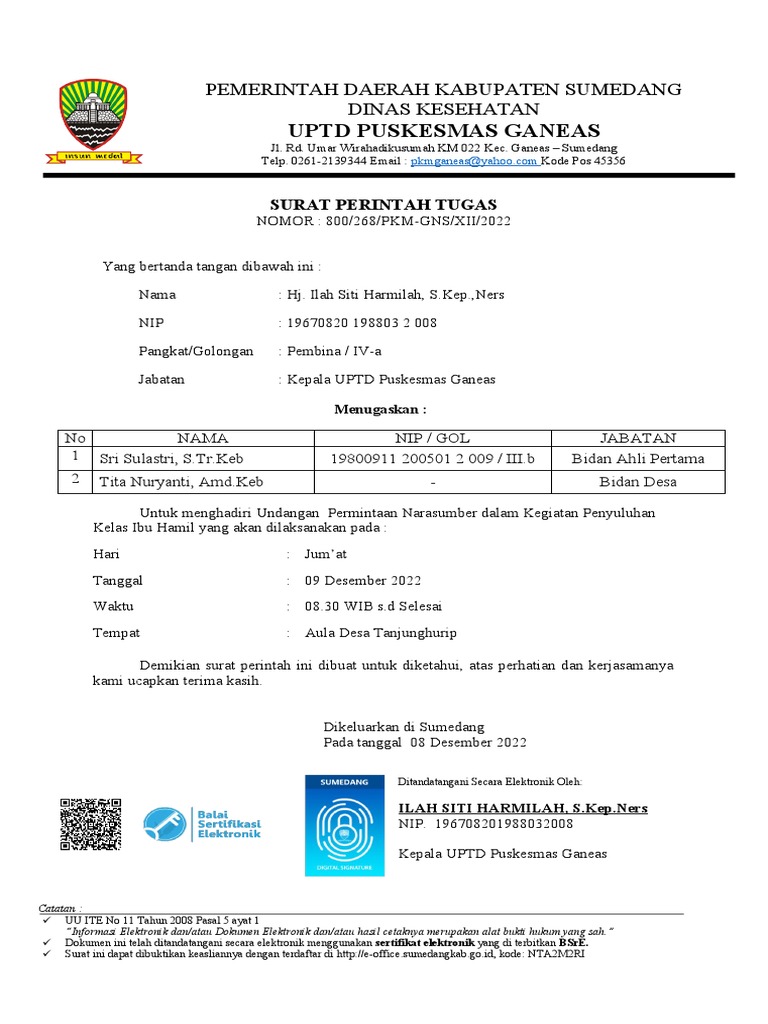 Surat Perintah Tugas 16705396644820 | PDF