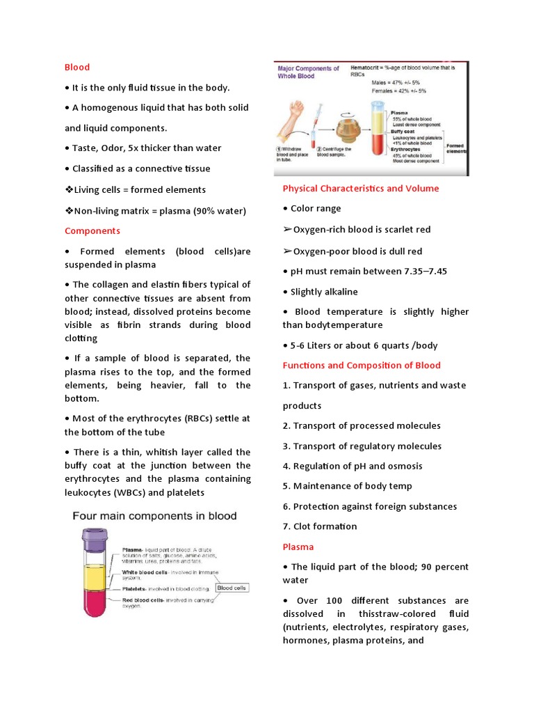 Blood PPT Notes | PDF | White Blood Cell | Red Blood Cell