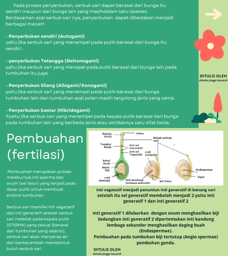 Materi Halaman 70 Penyerbukan Dan Pembuahan | PDF | Sains & Matematika