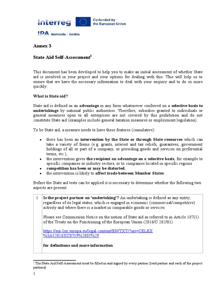 Annex 3 State Aid Self Assesment | PDF | Subsidy | Taxes