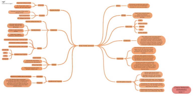 Mindmap BPH Chiara Maharani 2008260051 | PDF