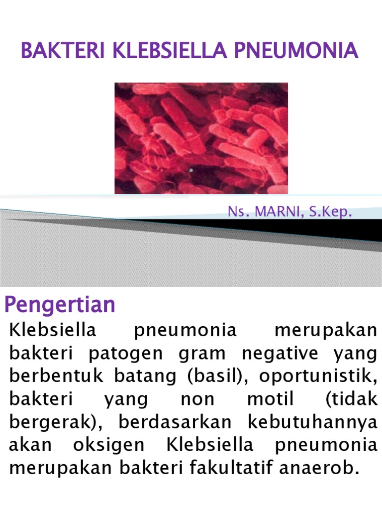 Bakteri Klebsiella Pneumonia | PDF