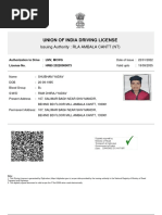 Driving License | PDF