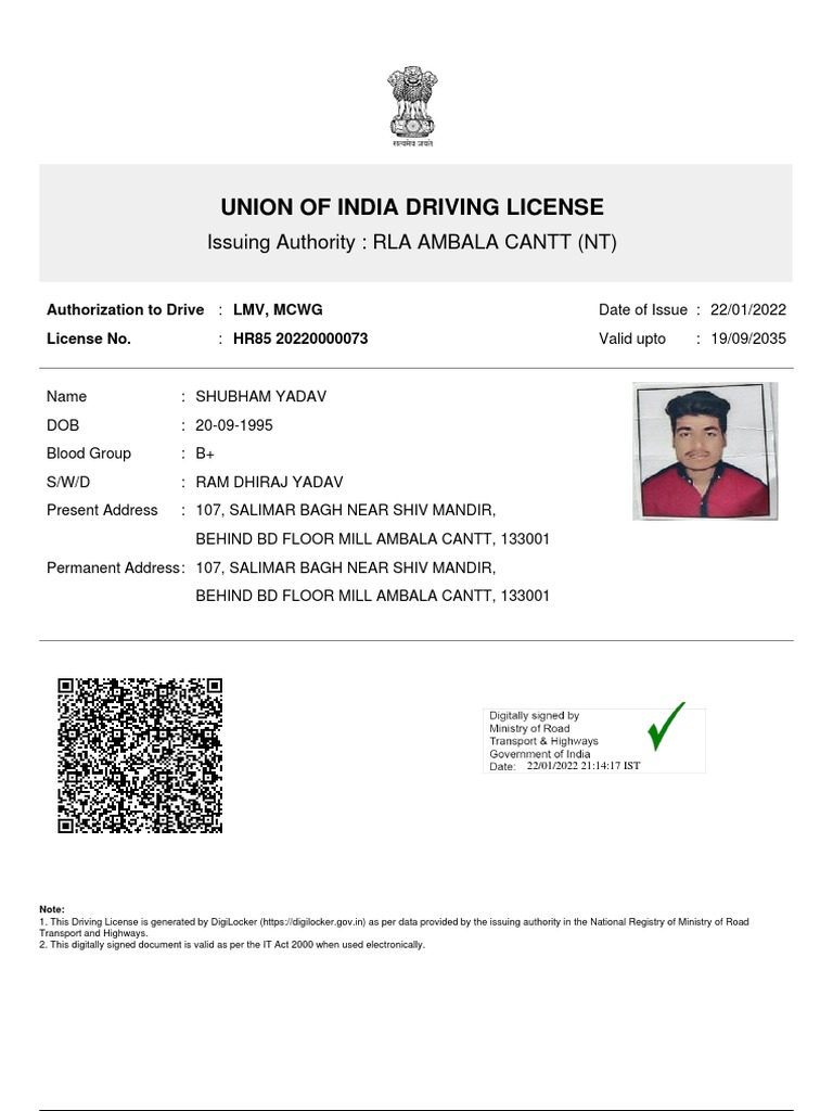 Driving Licence | PDF