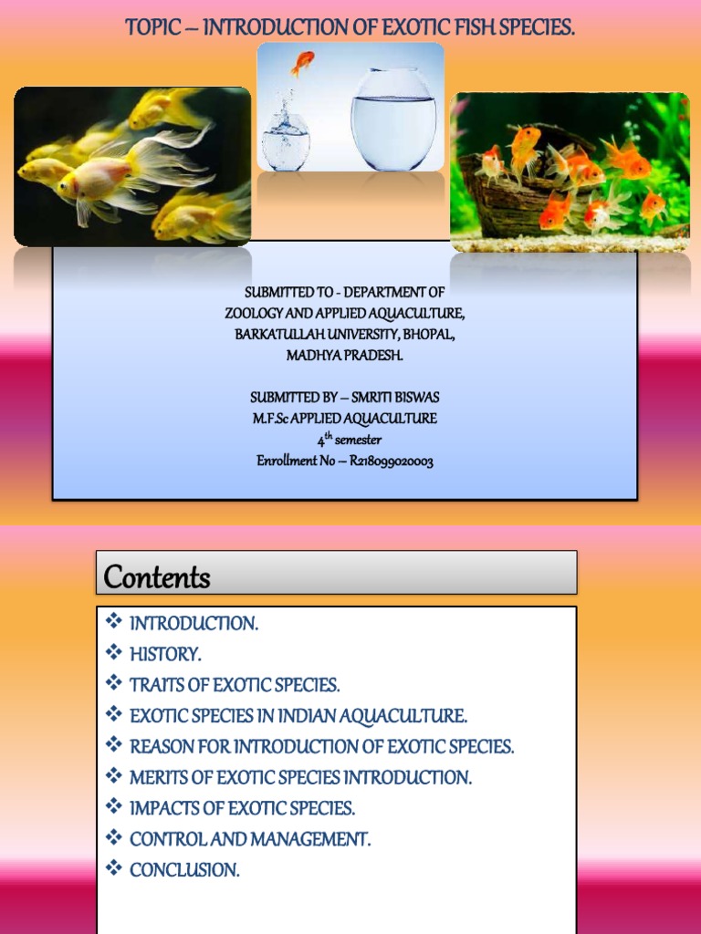 Introduction of Exotic Fish Species | PDF | Introduced Species ...