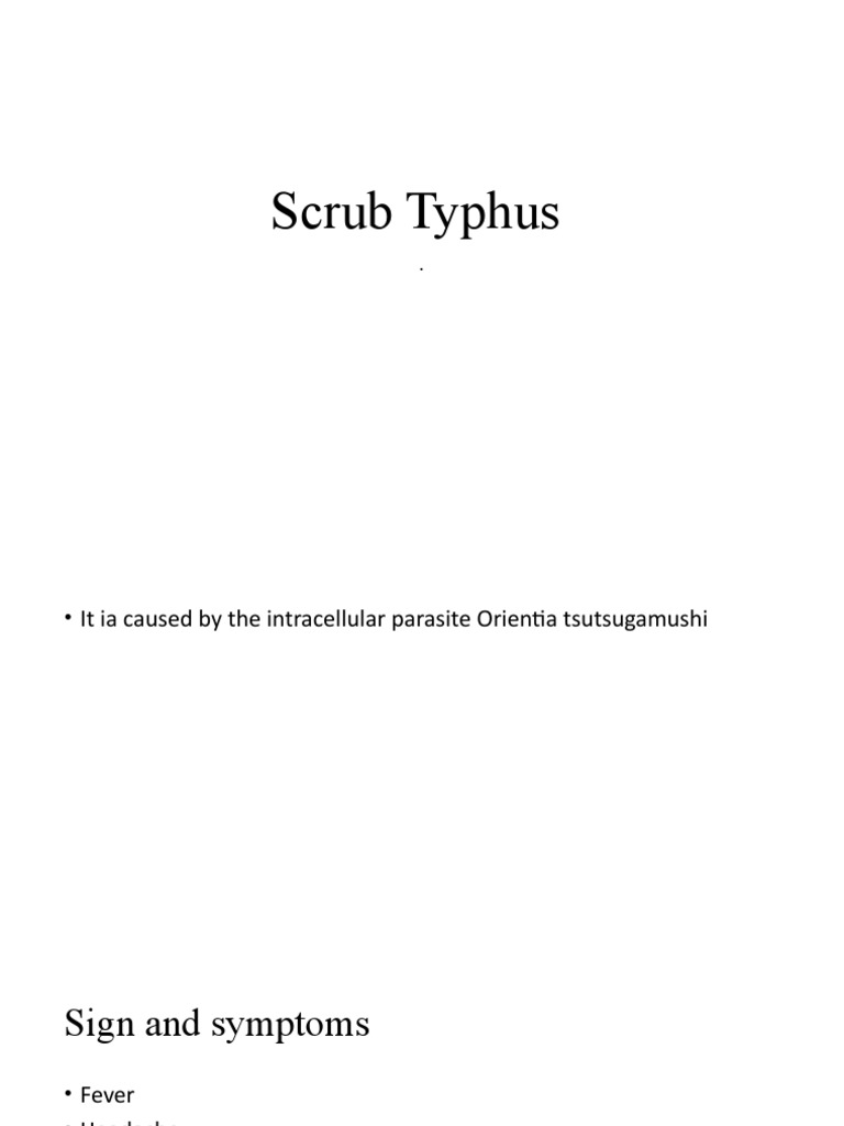 Scrub Typhus | PDF | Diseases And Disorders | Animal Diseases