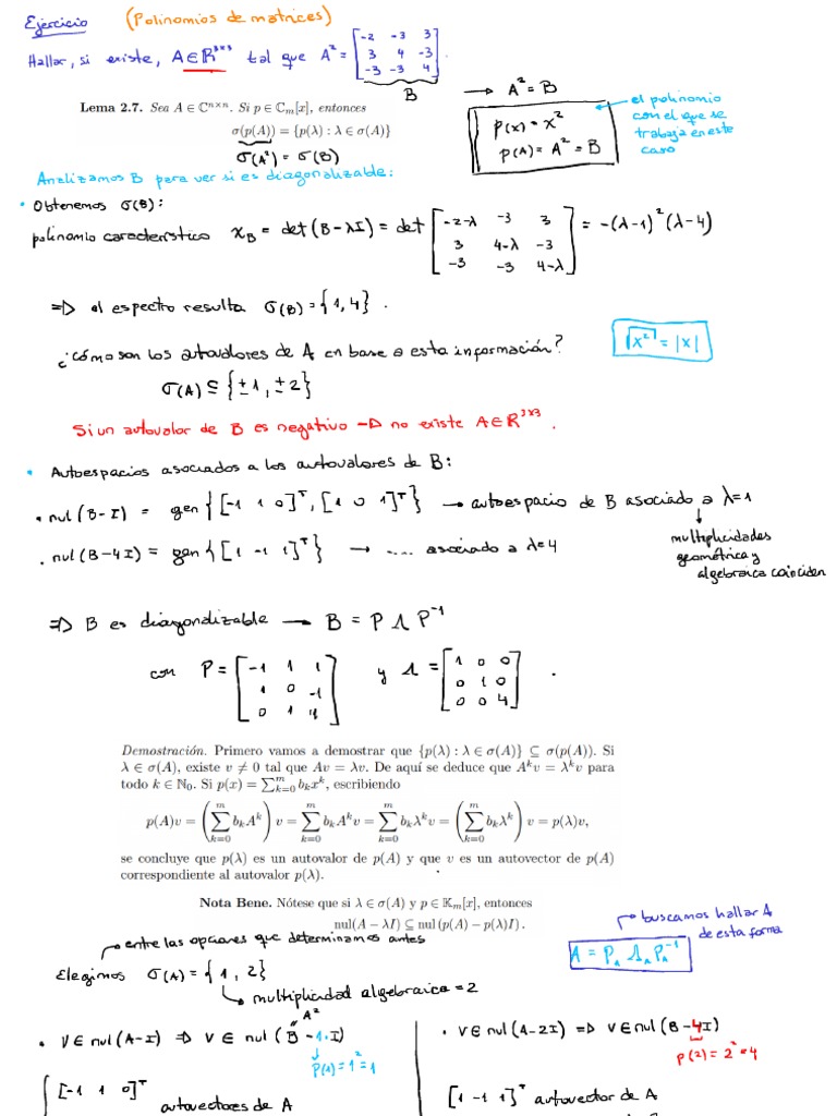 Ejercicio Polinomio Matrices | PDF