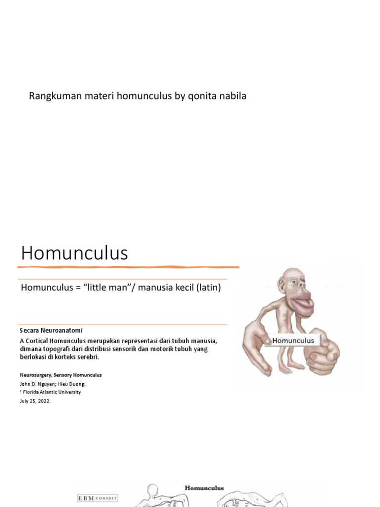 Homunculus | PDF