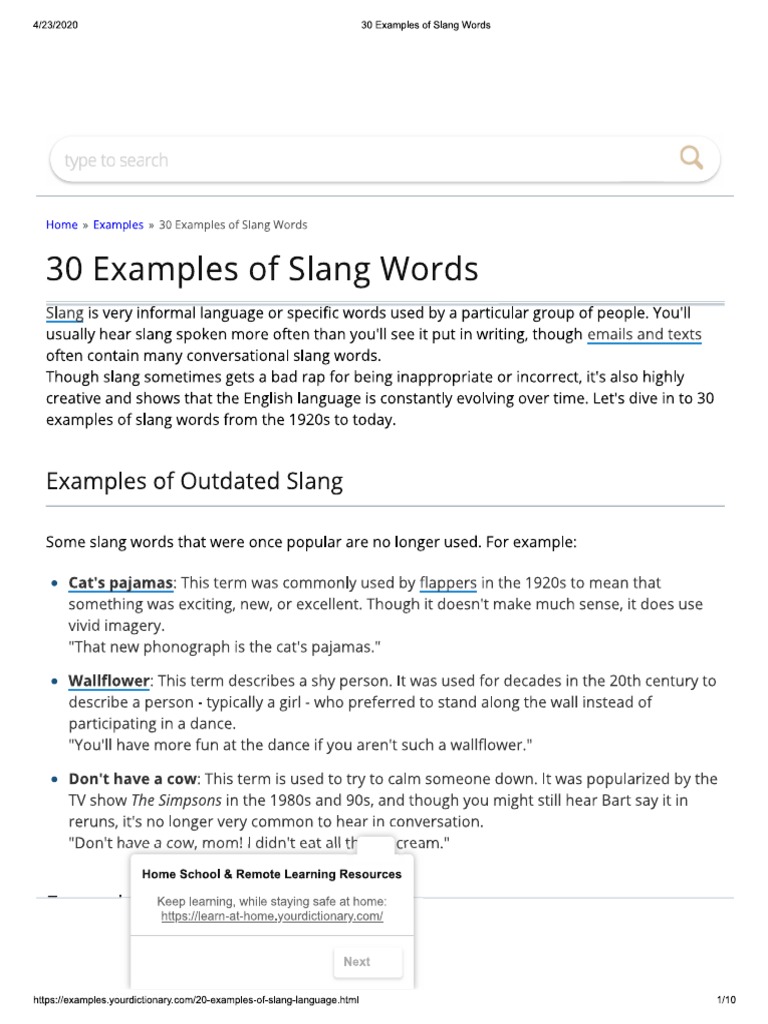 30 Examples of Slang Words | PDF