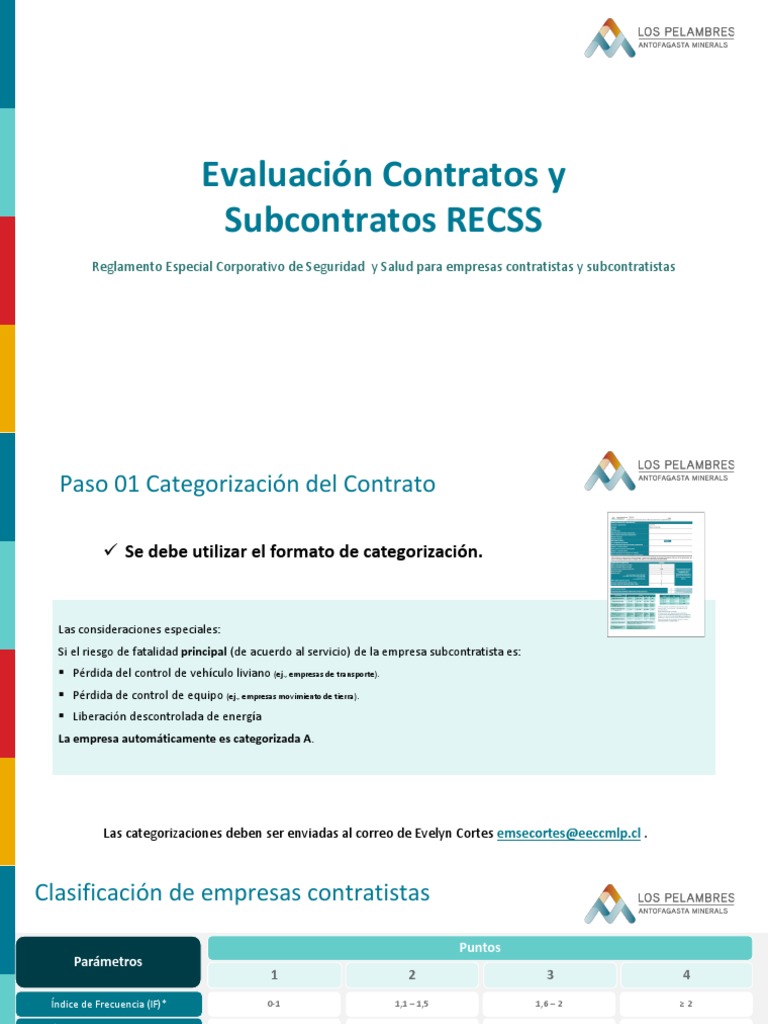 Guía Proceso RECSS 2021 | PDF