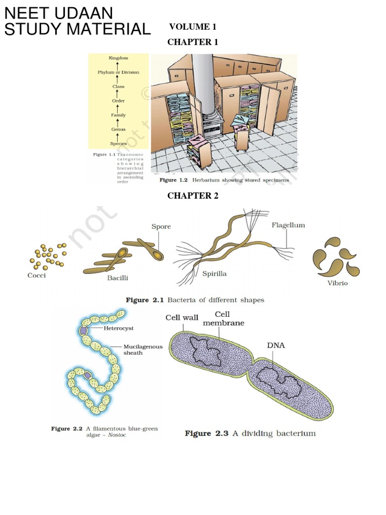 NCERT Diagrams | PDF