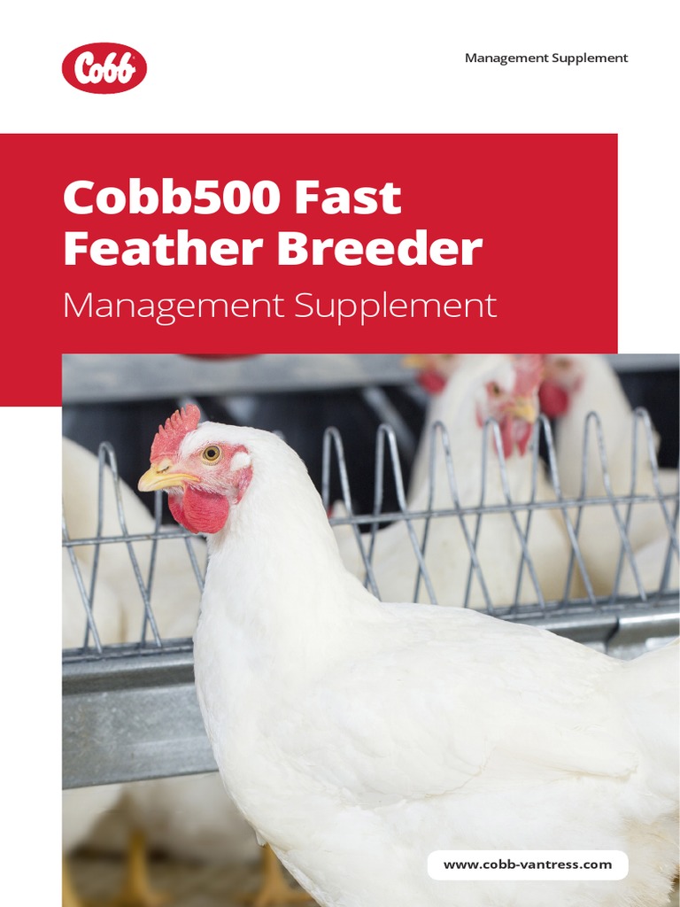Cobb500 Fast Feather Breeder Management Supplement | PDF | Chicken | Poultry Farming