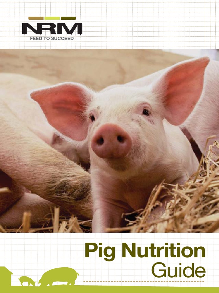 NRM Pig Nutrition Guide A5-FINAL | PDF | Pig | Vitamin