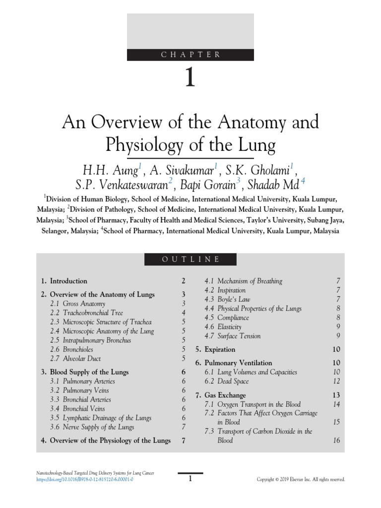 An Overview of The Anatomy and Physiology of The Lung | PDF | Lung ...
