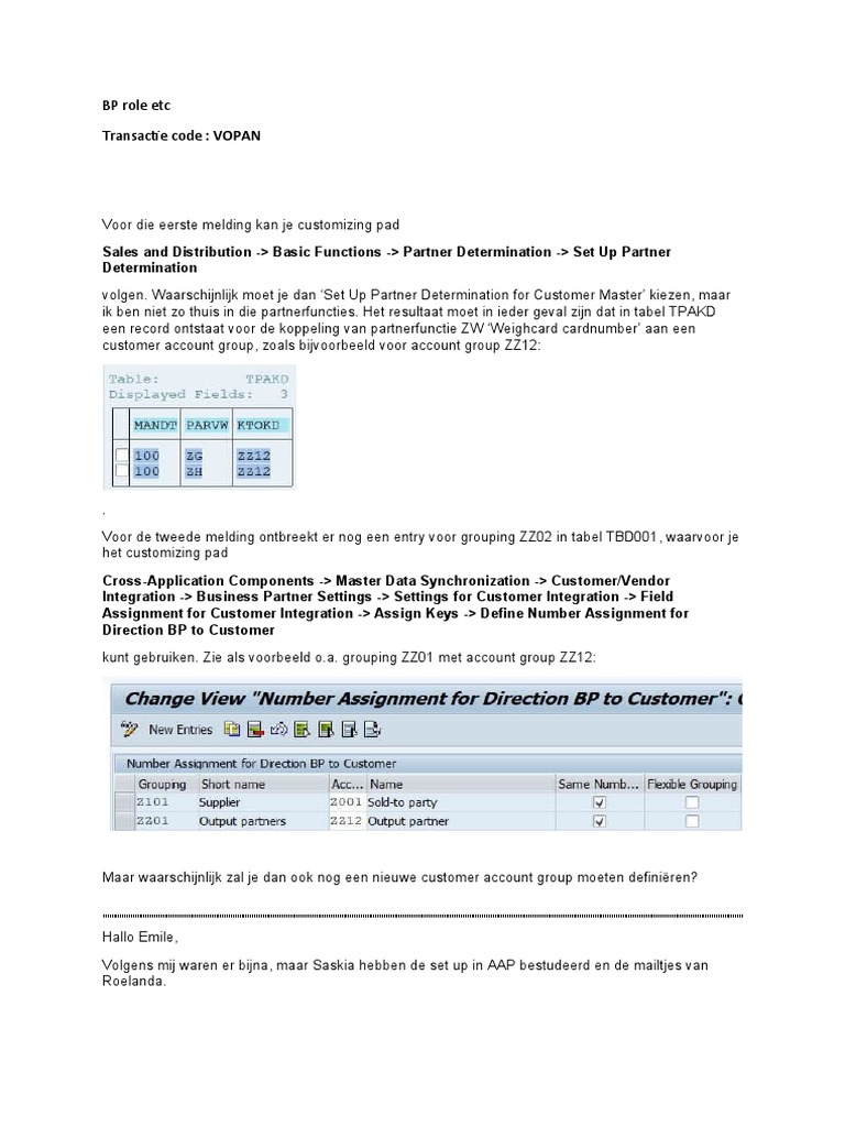 BP Setup BP Roles Partner Function Etc | PDF