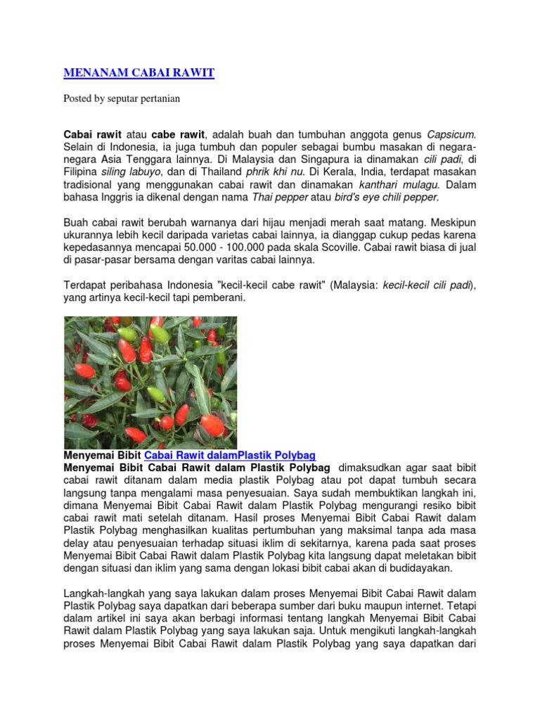 Teknik Menanam Cabai Rawit | PDF | Memasak, Makanan, & Anggur