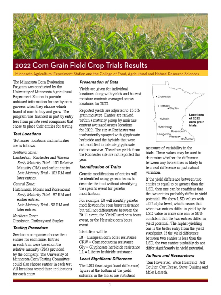 2022 Corn Grain - Final | PDF | Maize | Wheat