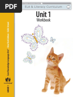Remedial Reading Drills | PDF