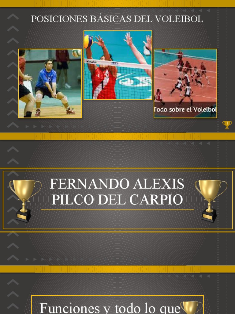 Posiciones Básicas Del Voleibol Pdf Vóleibol
