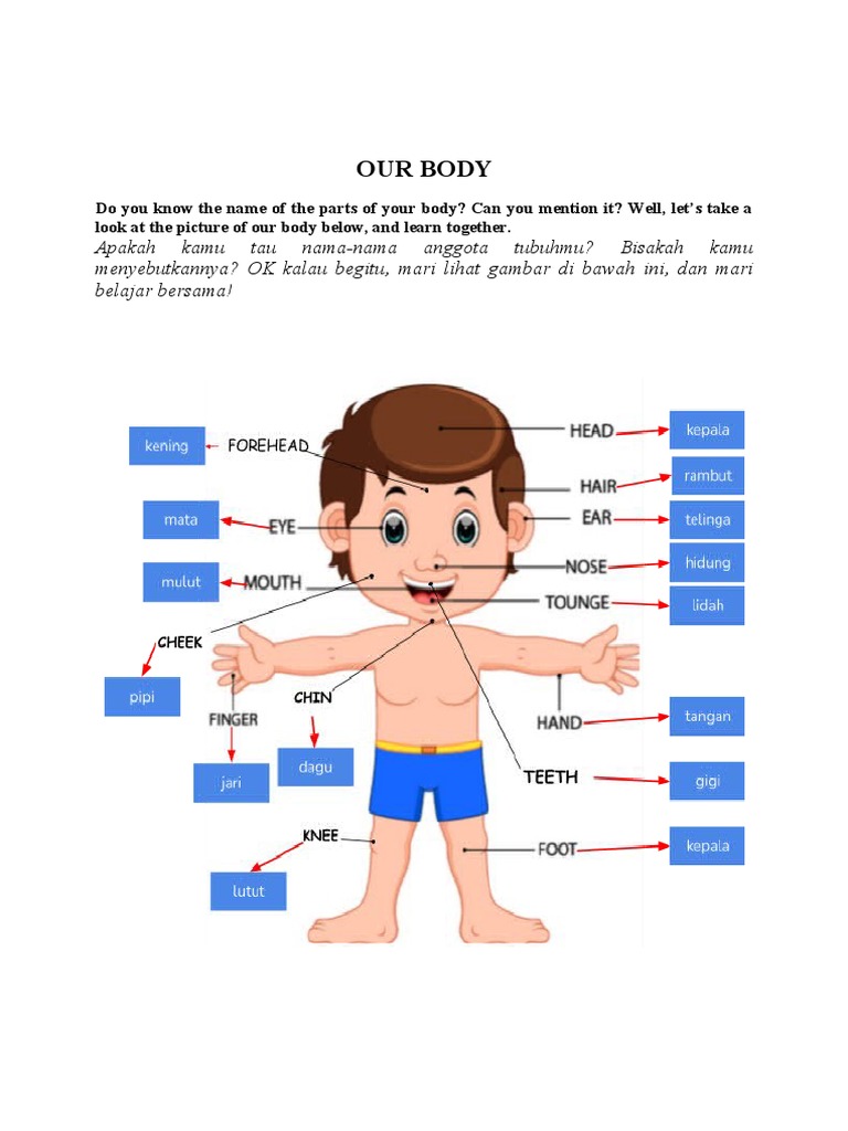 Our Body | PDF